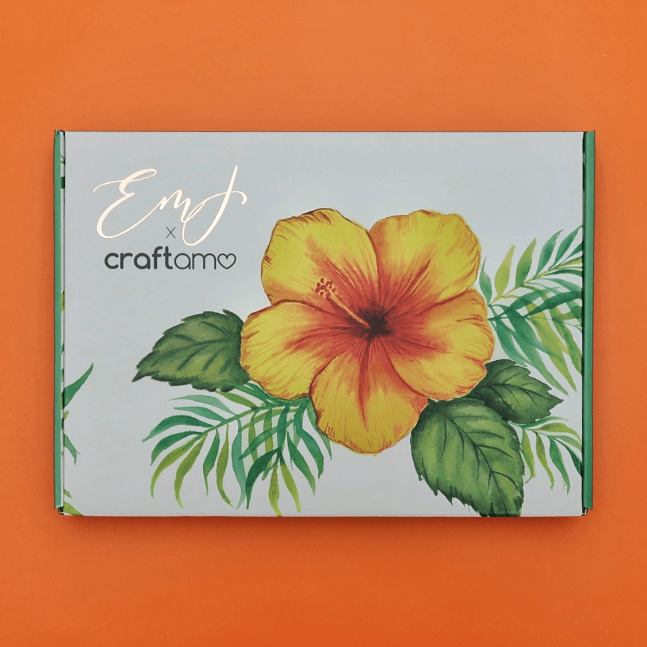 Emma Lefebvre X Craftamo / Paint With Emma July Box